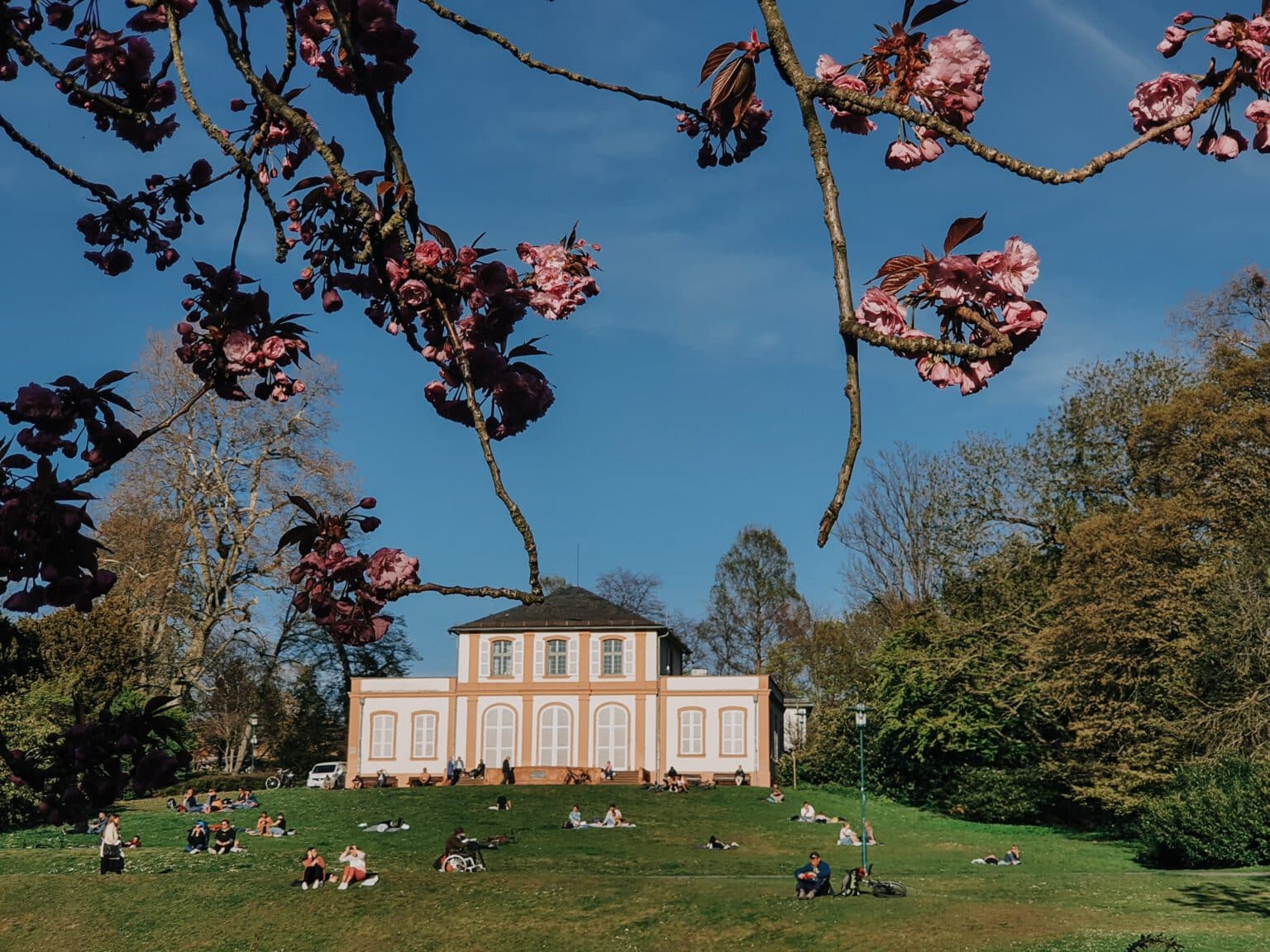 Die besten Sehenswürdigkeiten in Darmstadt für einen Tagesausflug