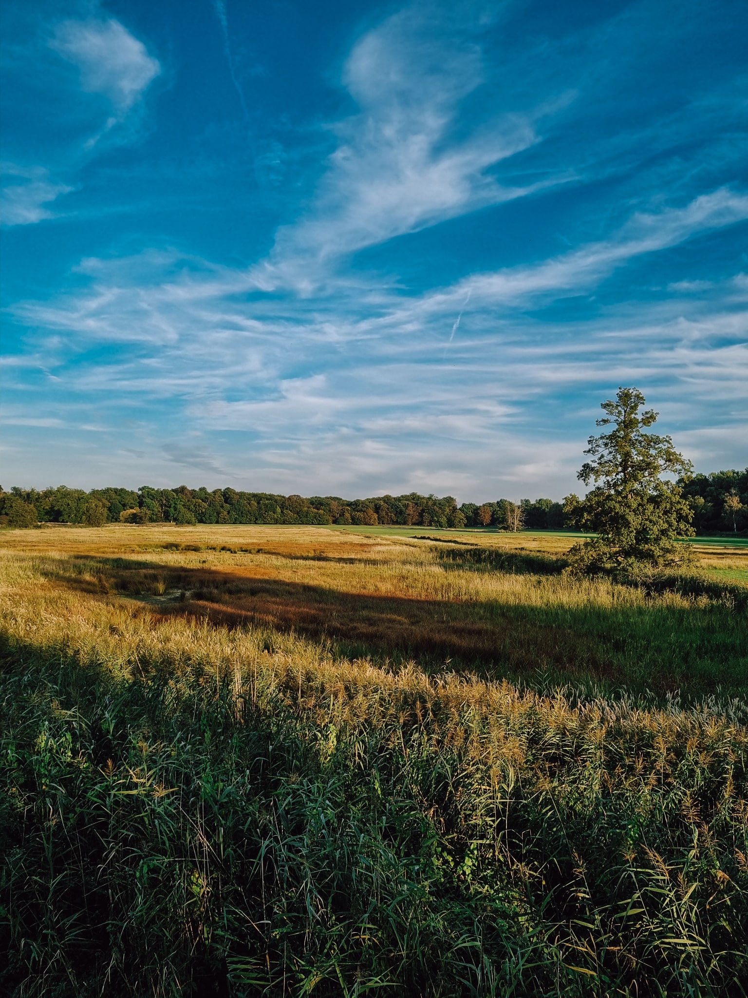Ausflugsziele für Südhessen - Hessen entdecken